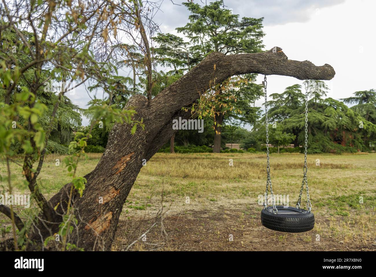 the seat consists of a mere tire in which the rear is placed. The tire ...