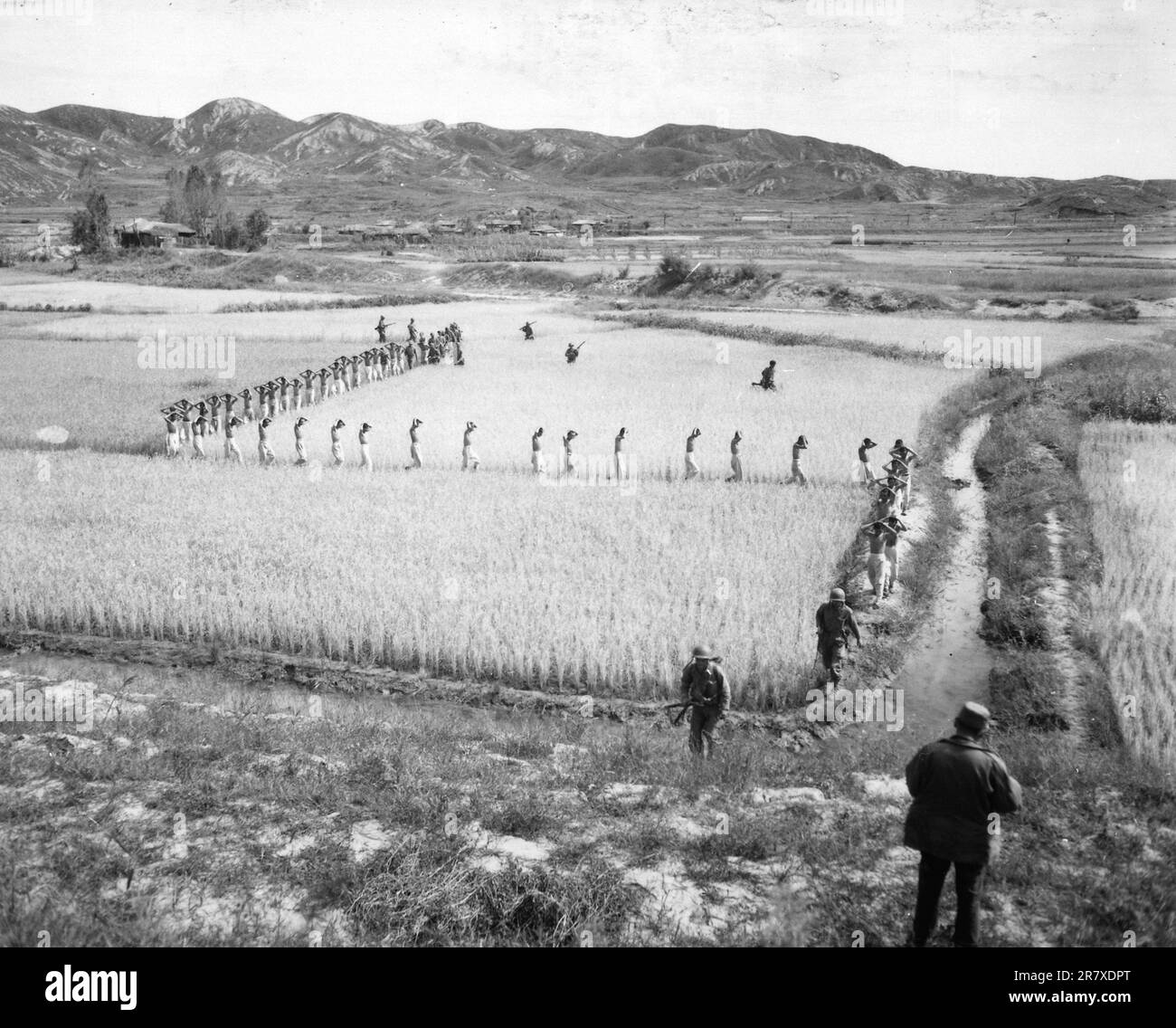 North Korean prisoners, taken by the Marines in a foothills fight ...