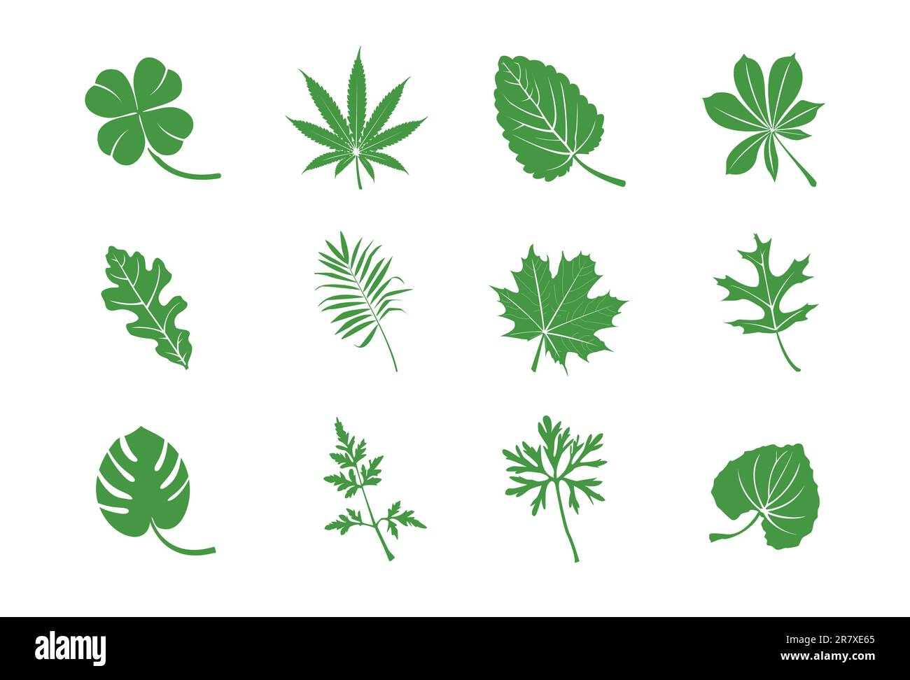 Nettle vegetation Stock Vector Images - Alamy