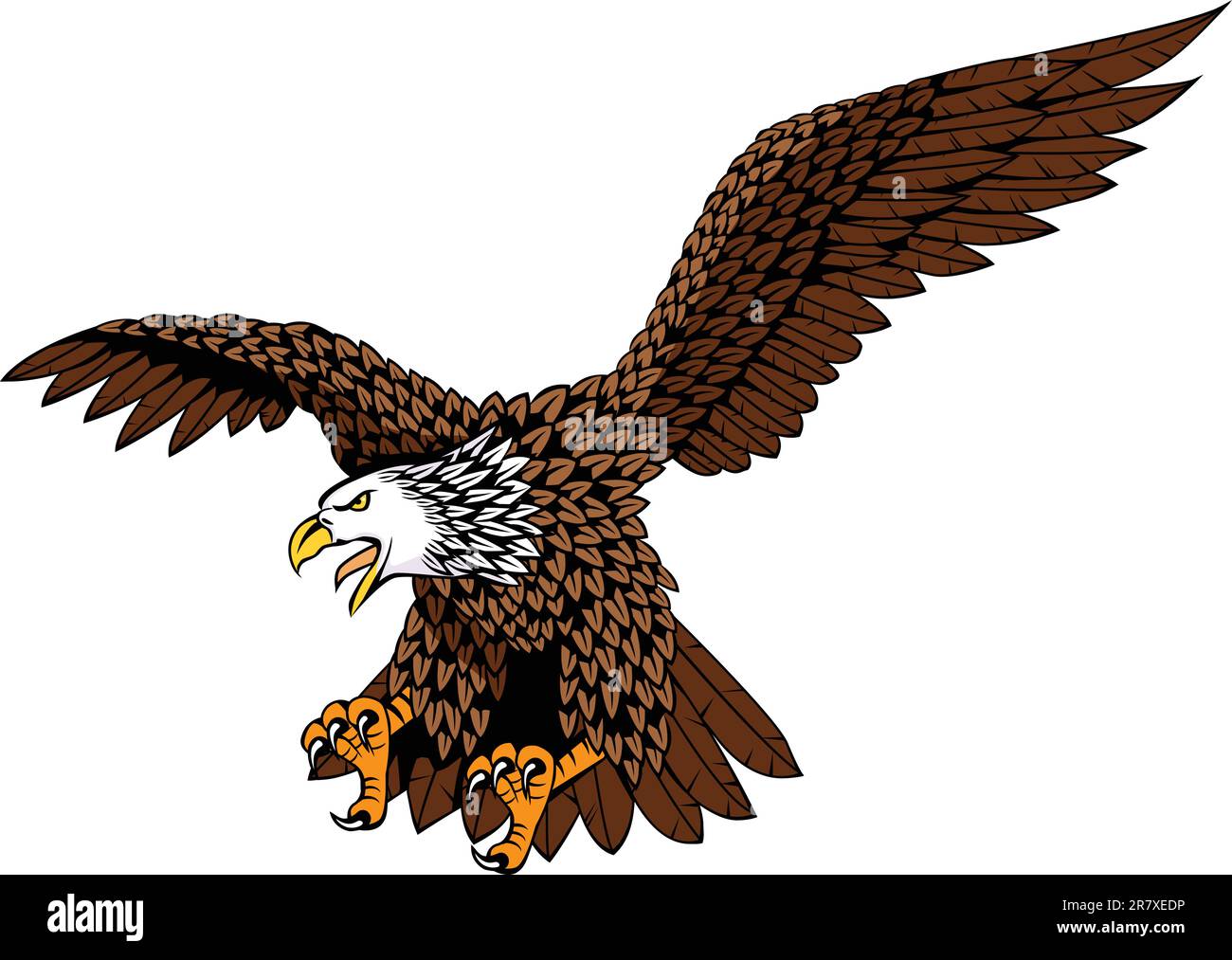 Detailed eagle vector illustration Stock Vector Image & Art - Alamy