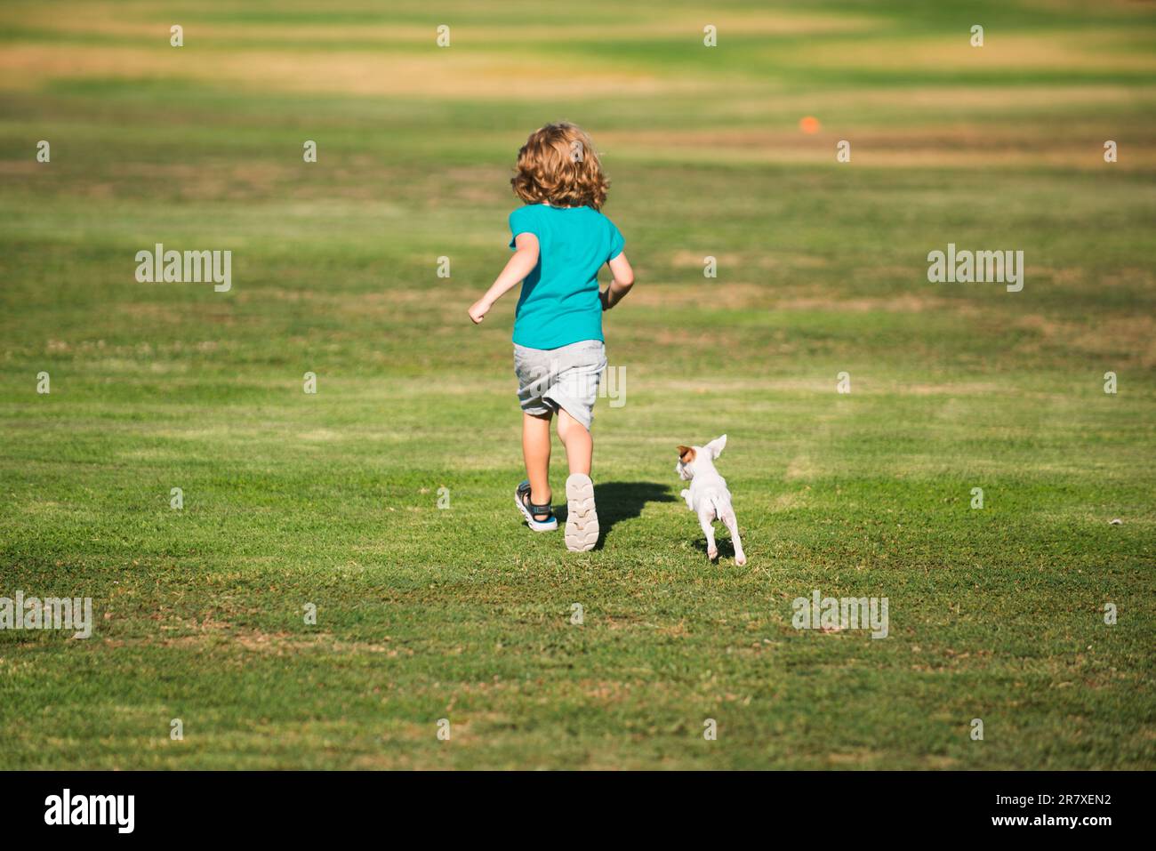Happy child run with a dog outdoor. running dog Stock Photo - Alamy