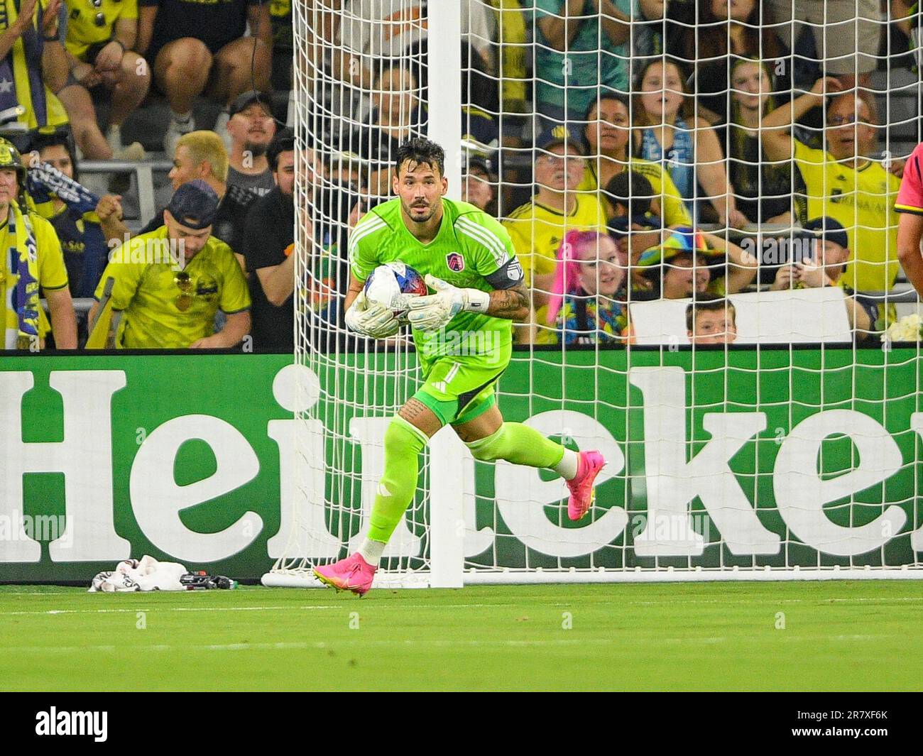 Burki hi-res stock photography and images - Alamy