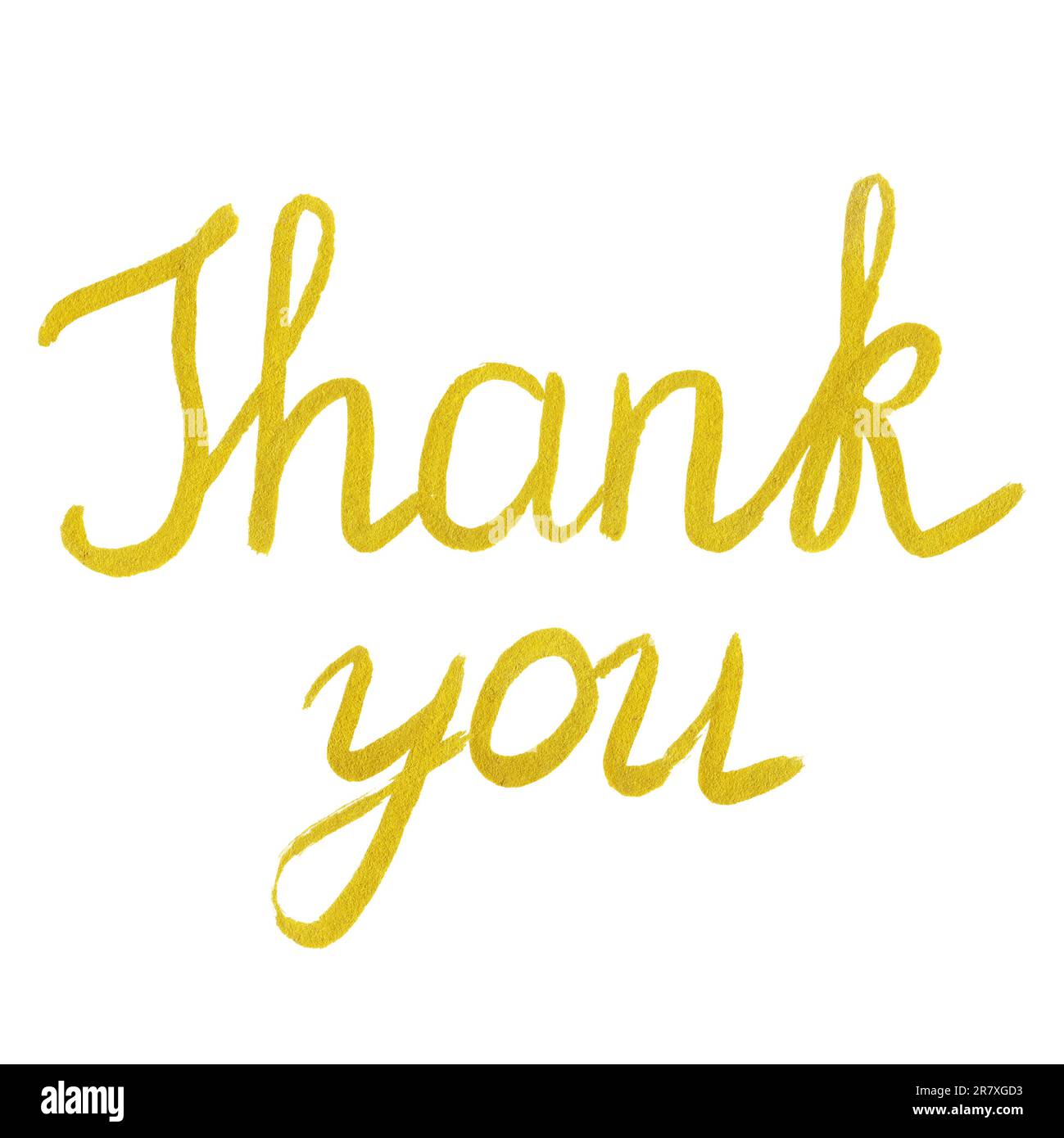 Thank you gold golden word phrase lettering typography isolated Stock ...