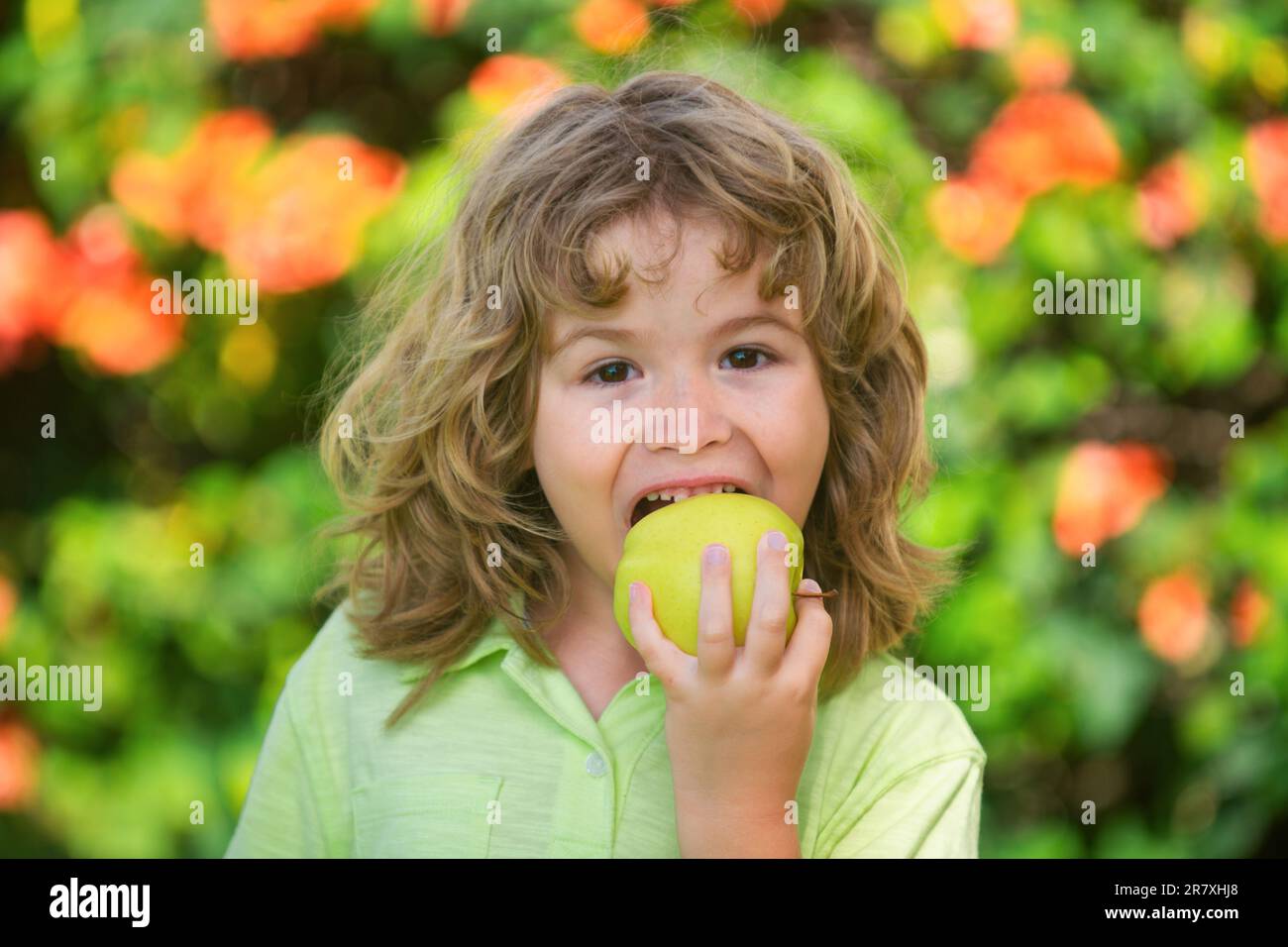 Little cute child eating green apple. Portrait of kid eating and biting ...