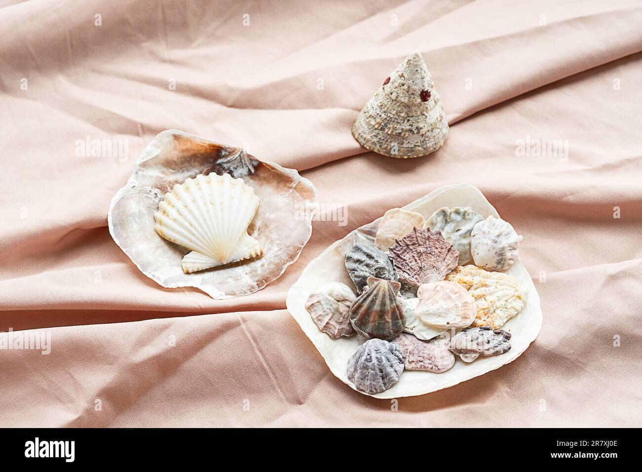 Stack of seashells hi-res stock photography and images - Alamy