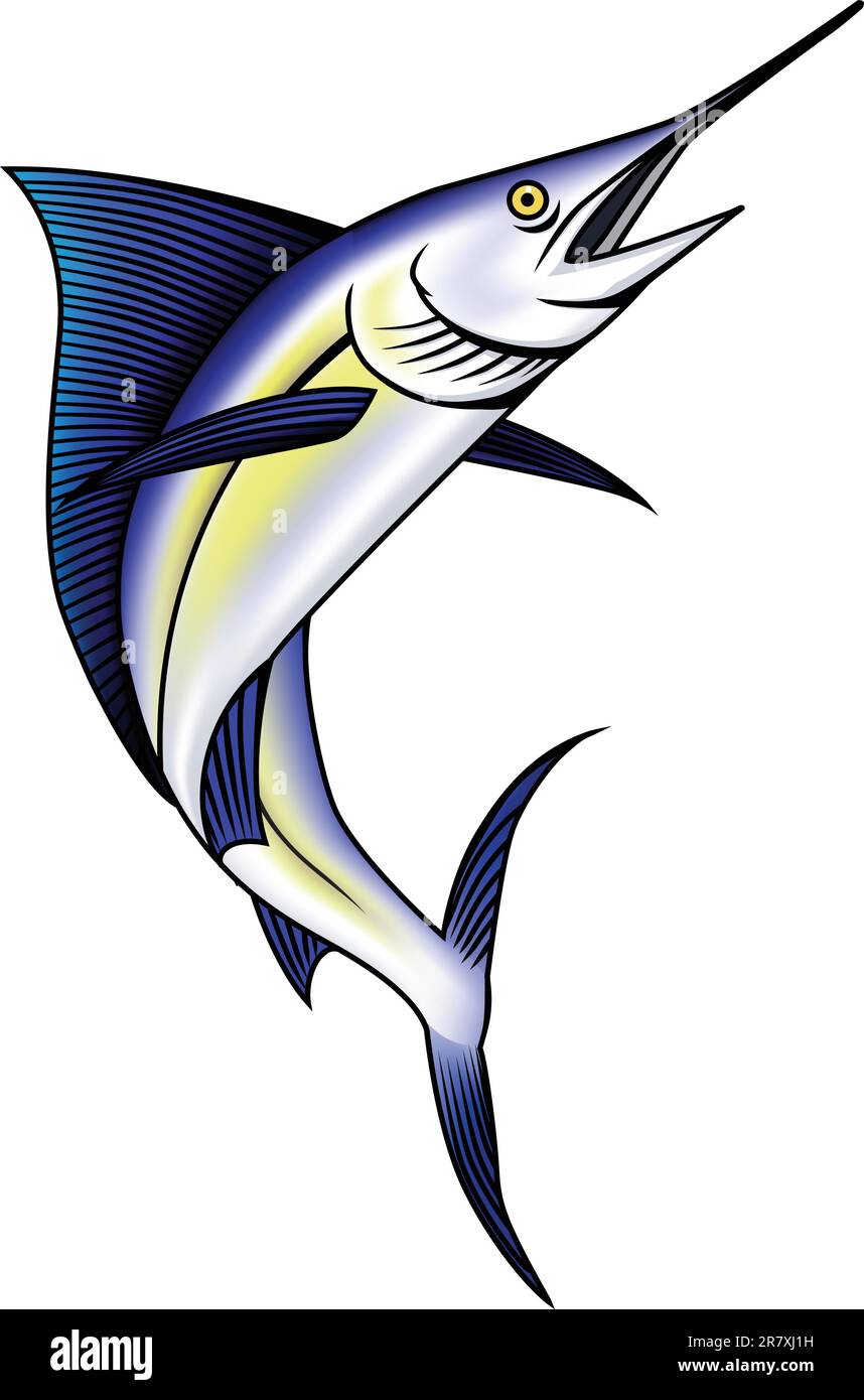 White marlin Stock Vector Images - Alamy