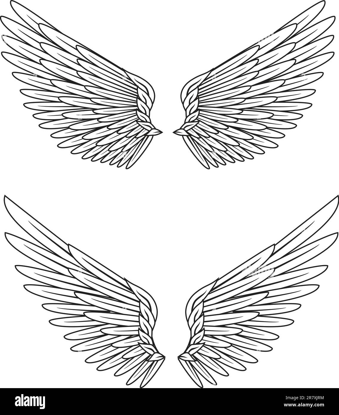 Wings view Stock Vector Images - Alamy