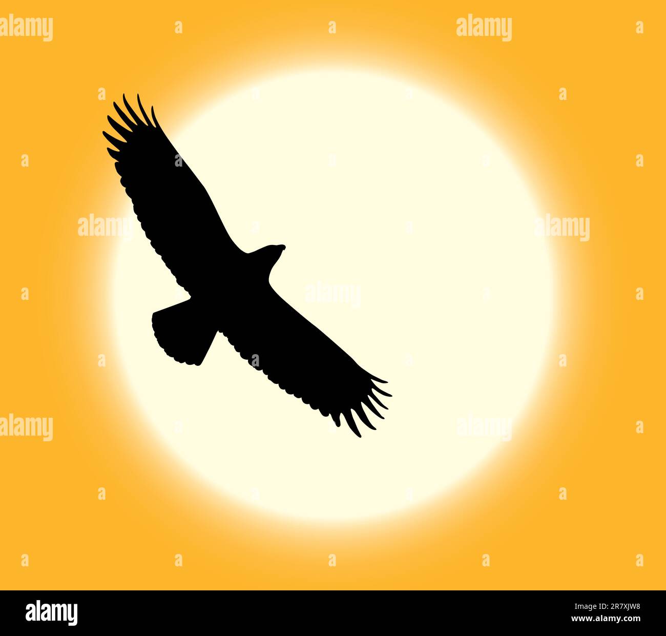 Silhouette of flying eagle on sun background Stock Vector Image & Art ...