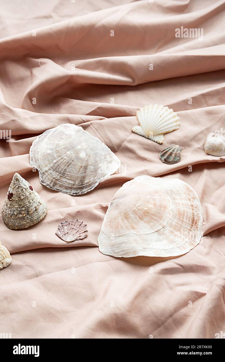 Some seashells on textile background. Sea shells maritime wealth Stock ...
