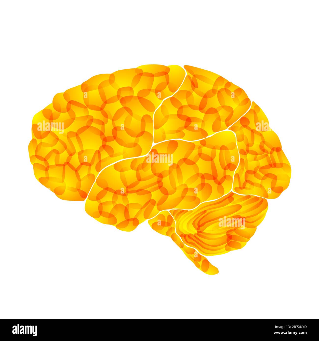 human brain, yellow marrow, vector abstract background Stock Vector ...