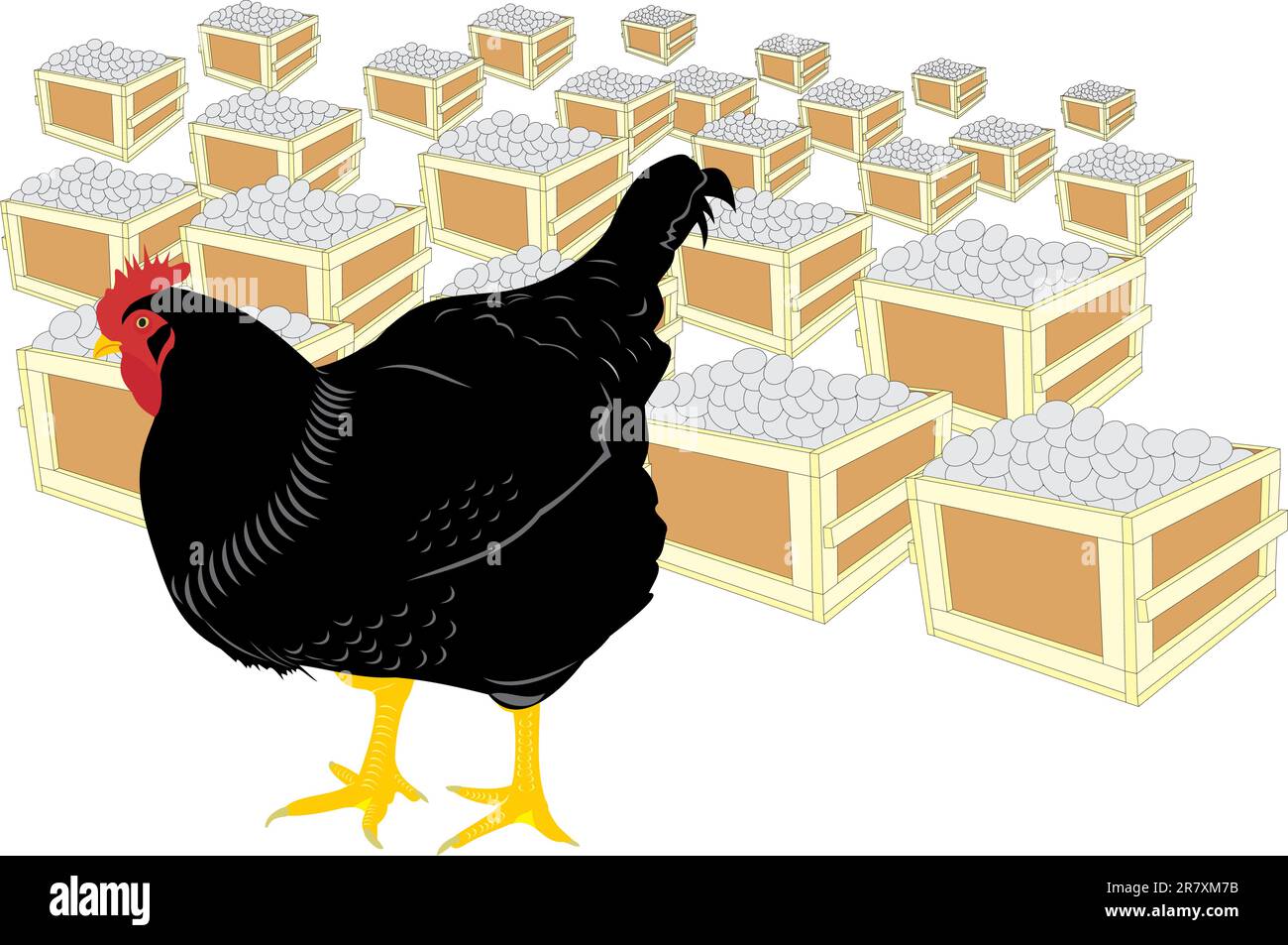 Hen and eggs. A black hen. Boxes with eggs Stock Vector Image & Art - Alamy