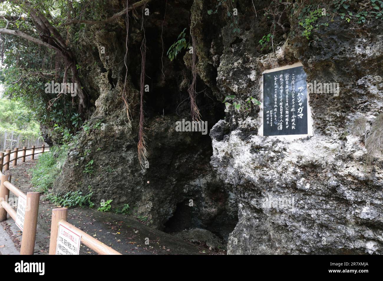 A photo shows Ahasha Cave where there was mass self-determination ...
