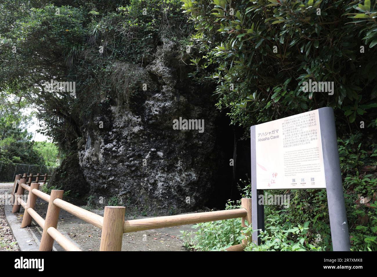 A photo shows Ahasha Cave where there was mass self-determination ...