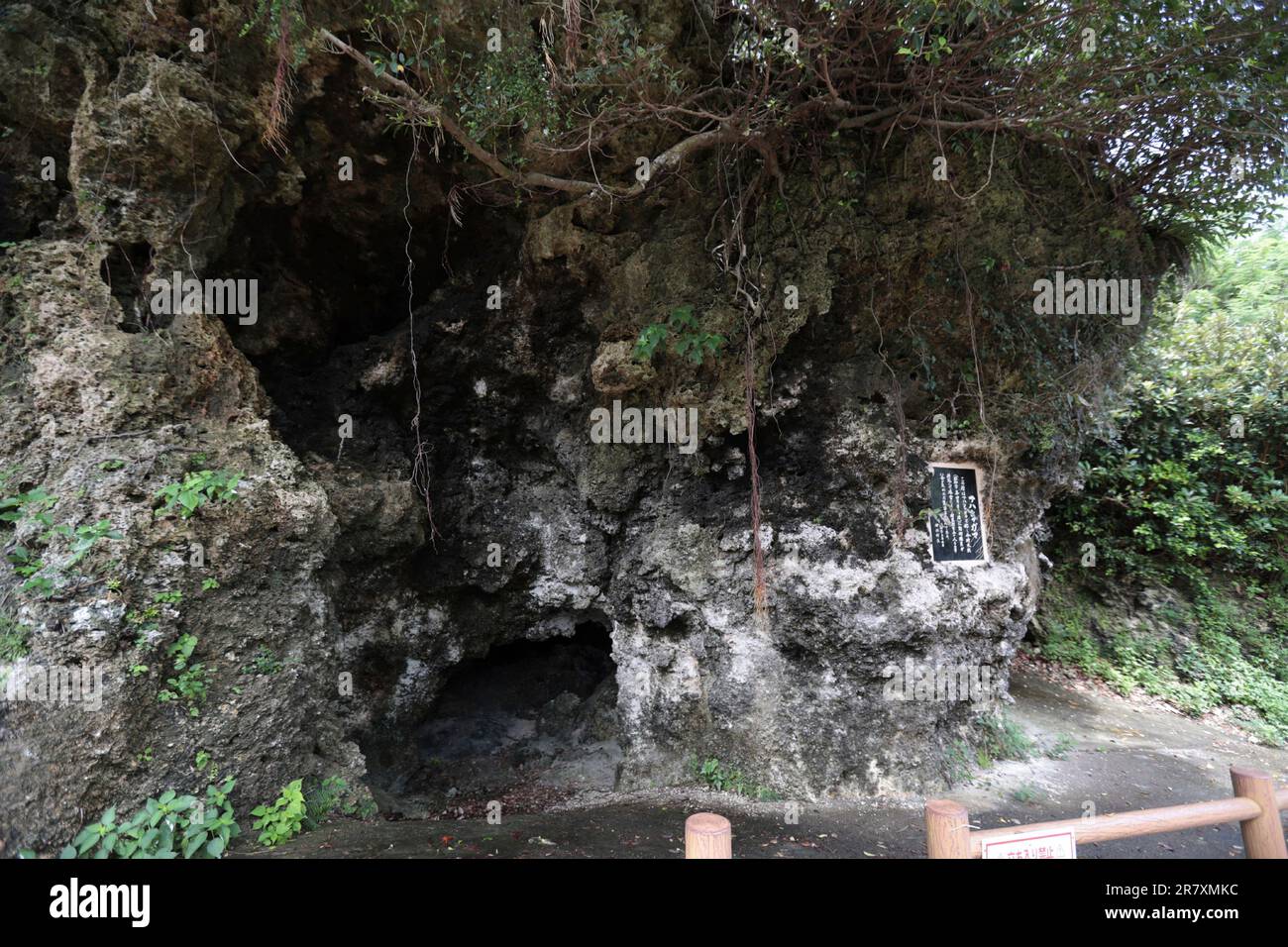 A photo shows Ahasha Cave where there was mass self-determination ...