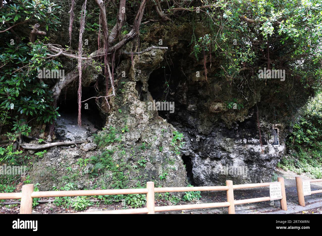 A photo shows Ahasha Cave where there was mass self-determination ...
