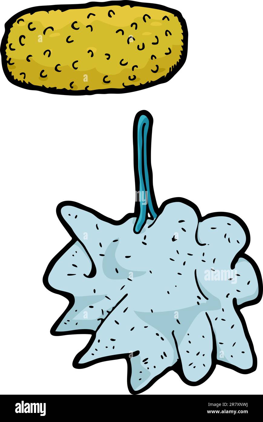 Sponge up close Stock Vector Images - Alamy