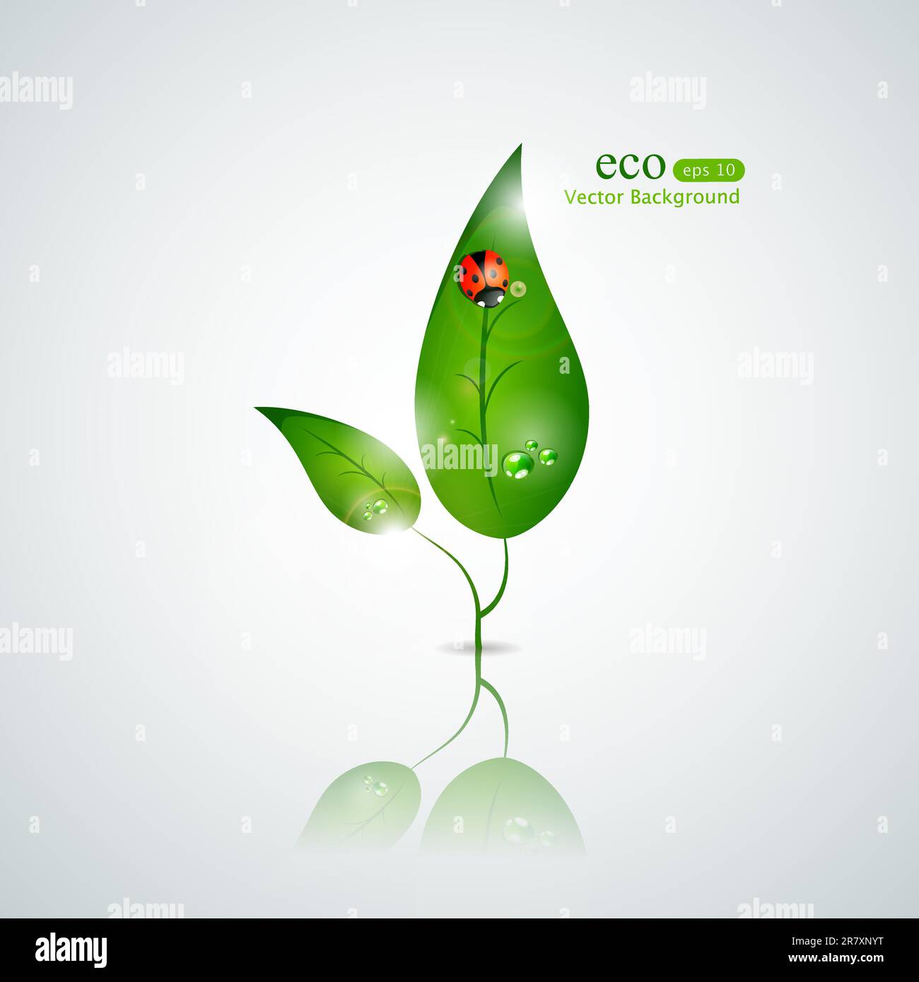 Vector eco design background Stock Vector Image & Art - Alamy