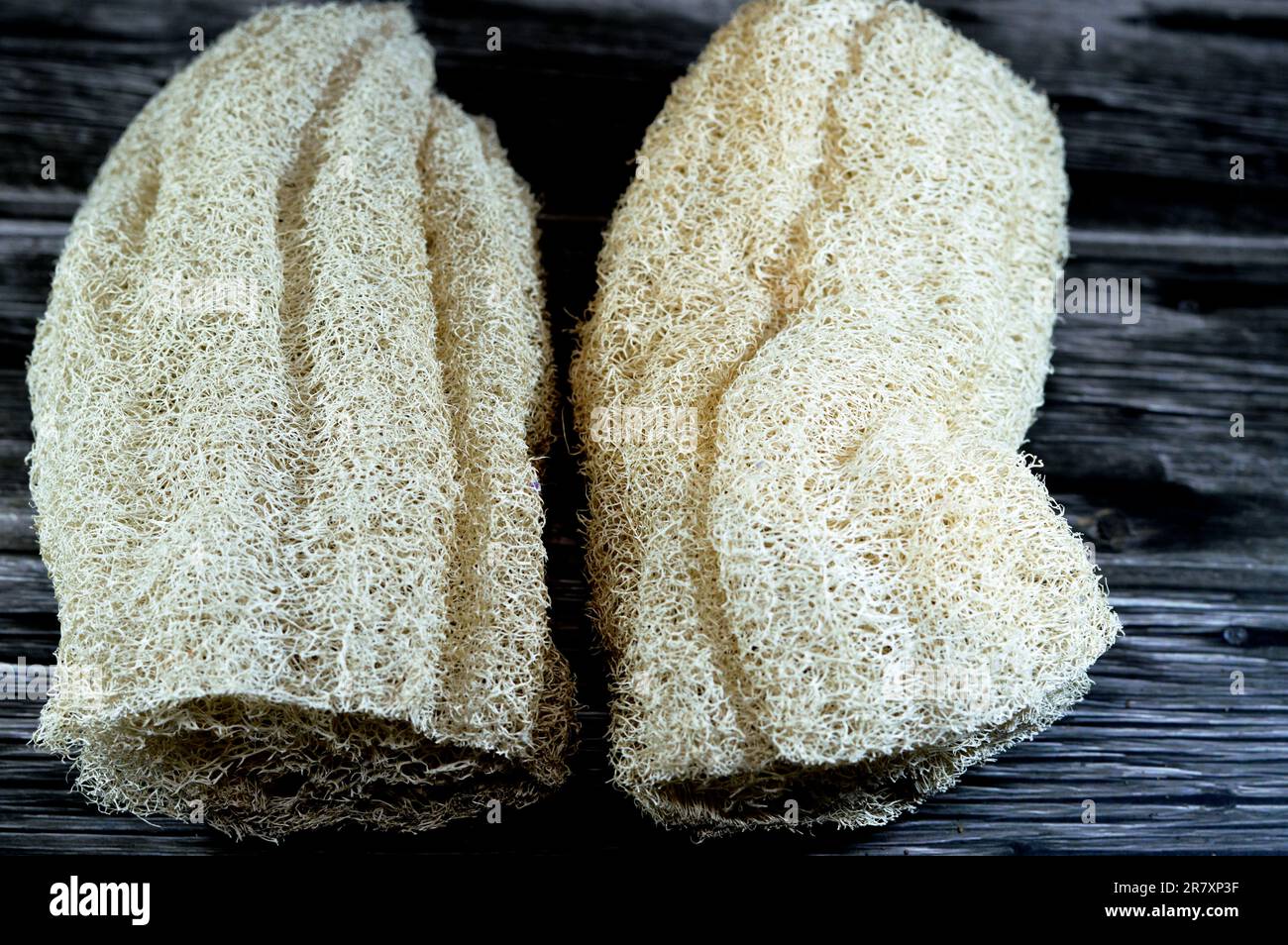 Loofa hi-res stock photography and images - Alamy