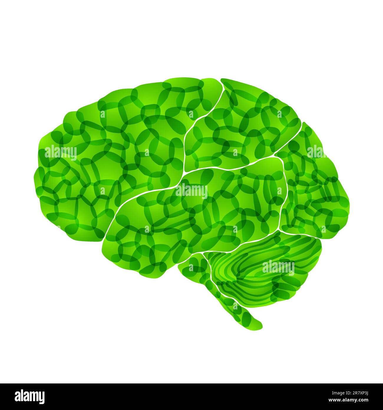 human brain, green thoughts, vector abstract background Stock Vector ... human brain, green thoughts, vector abstract background Stock Vector ...
