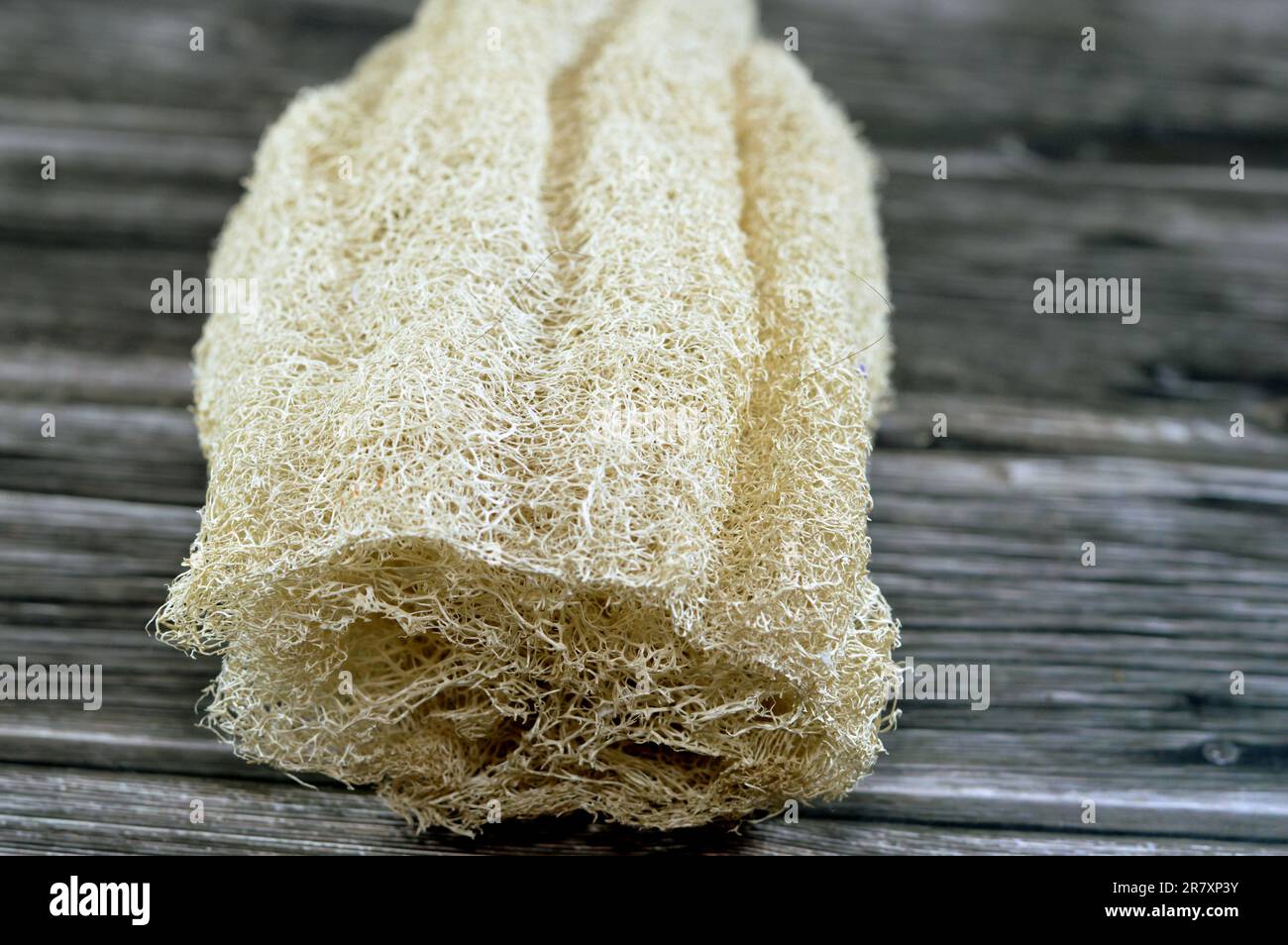 A bathroom loofa sponge, Loofah, Luffa, atropical and subtropical vines ...