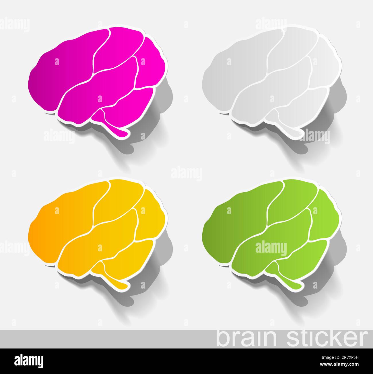 human brain, realistic design elements Stock Vector Image & Art - Alamy