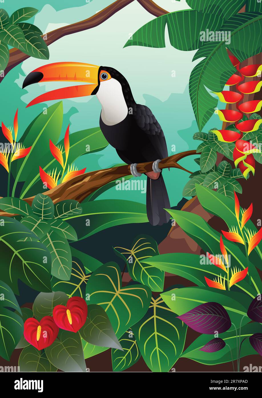 Toucan Bird illustration Stock Vector Image & Art - Alamy