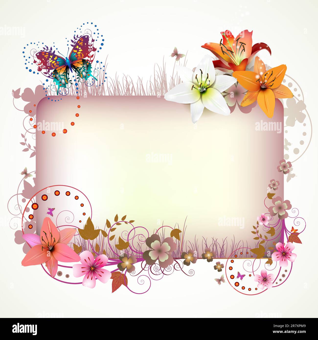 Colorful lily flowers with butterflies hi-res stock photography and ...