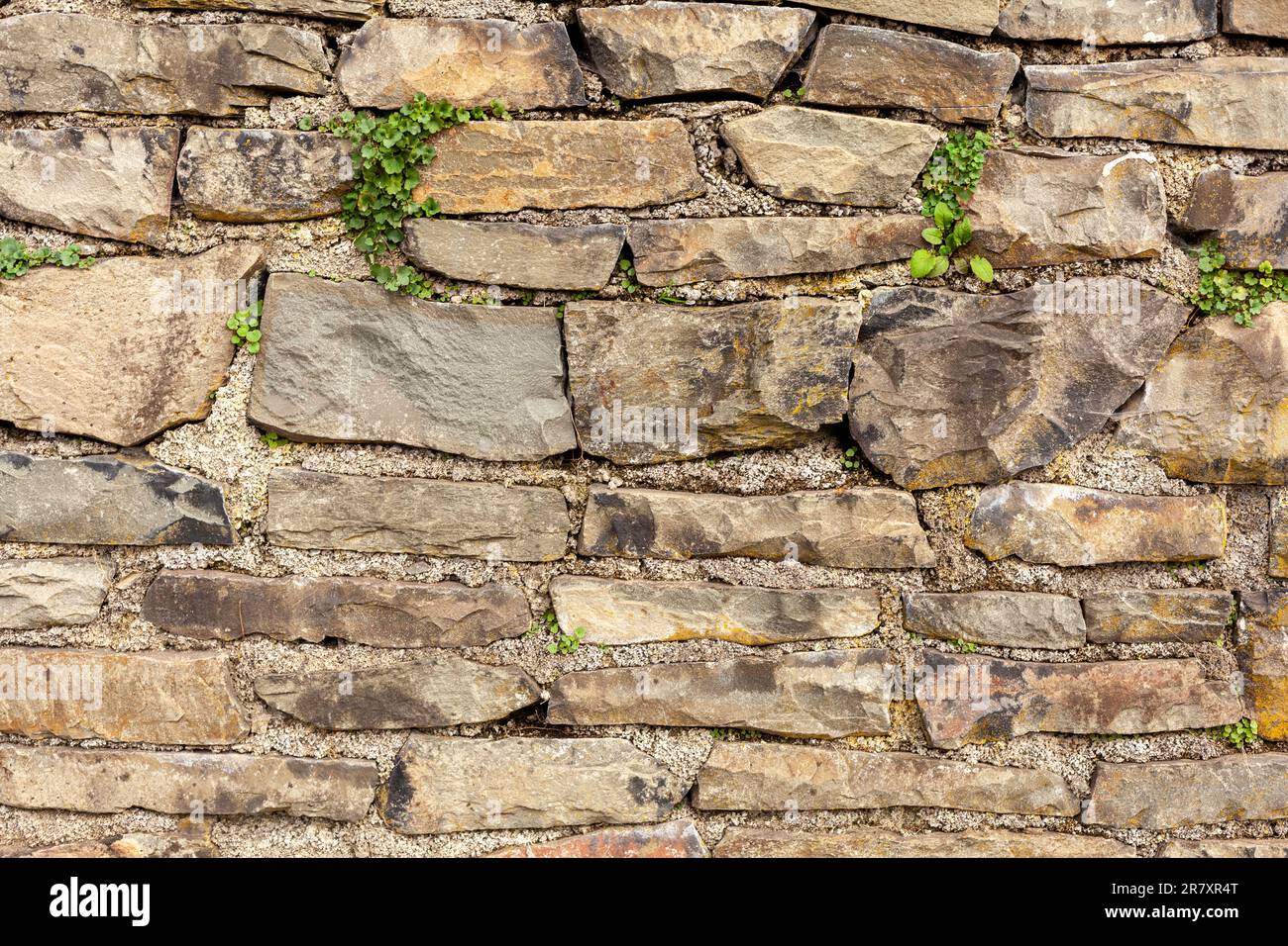 Stone wall texture. Background of stone wall texture. Stone wall ...