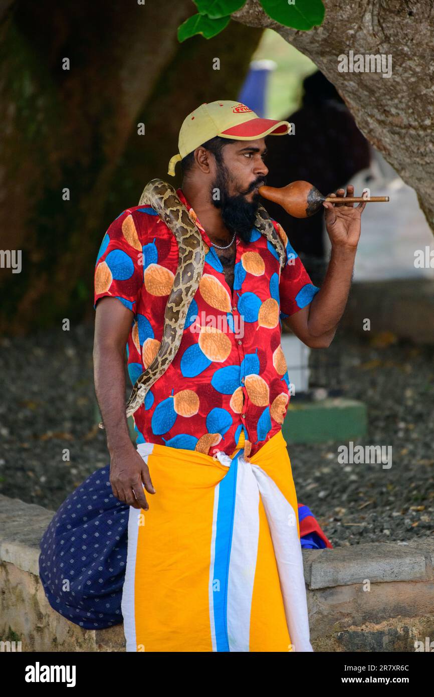 Galle, Sri Lanka - 02 15 2022: Snake charmer playing flute, while ...