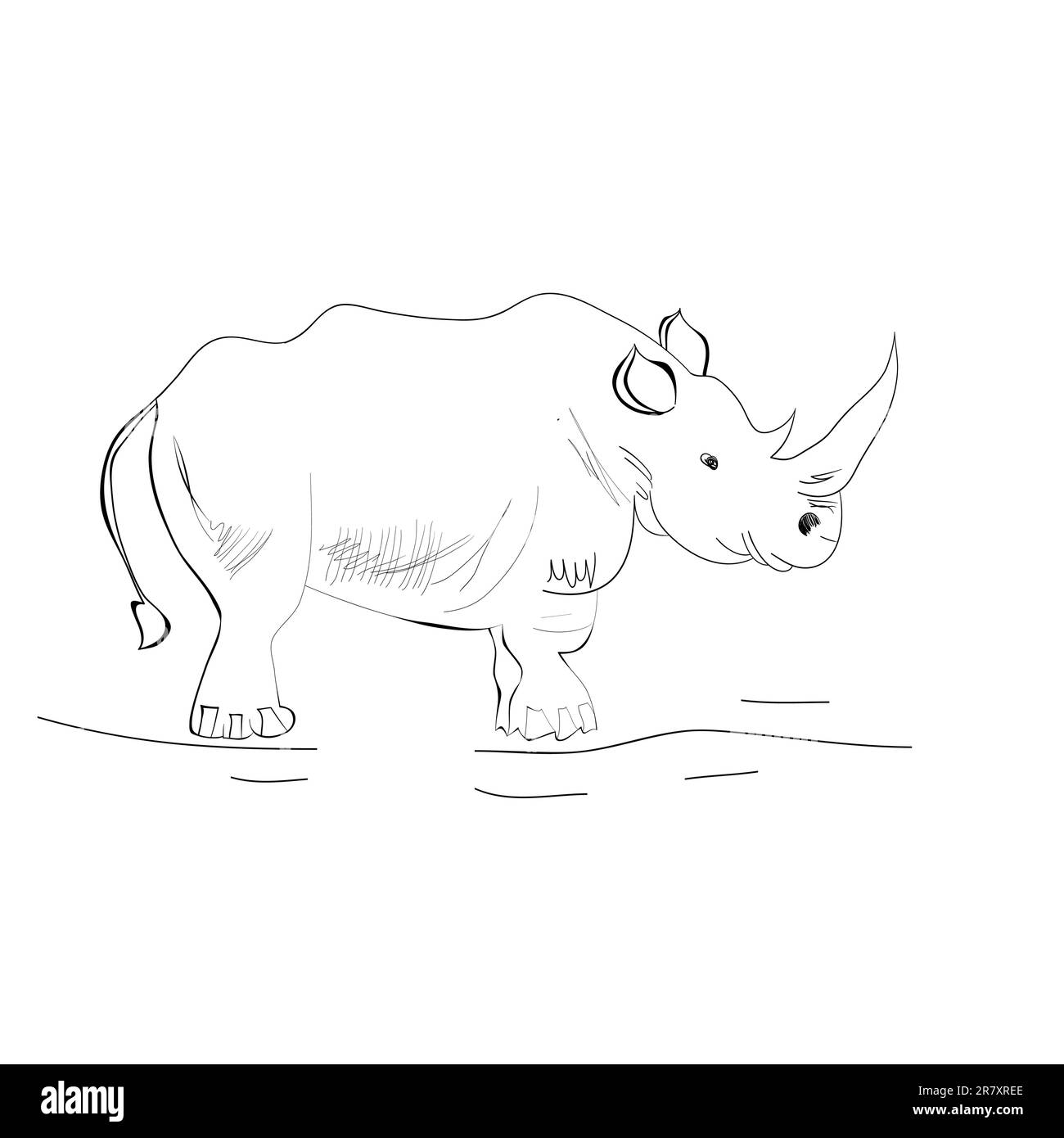 White endangered rhino Stock Vector Images - Alamy