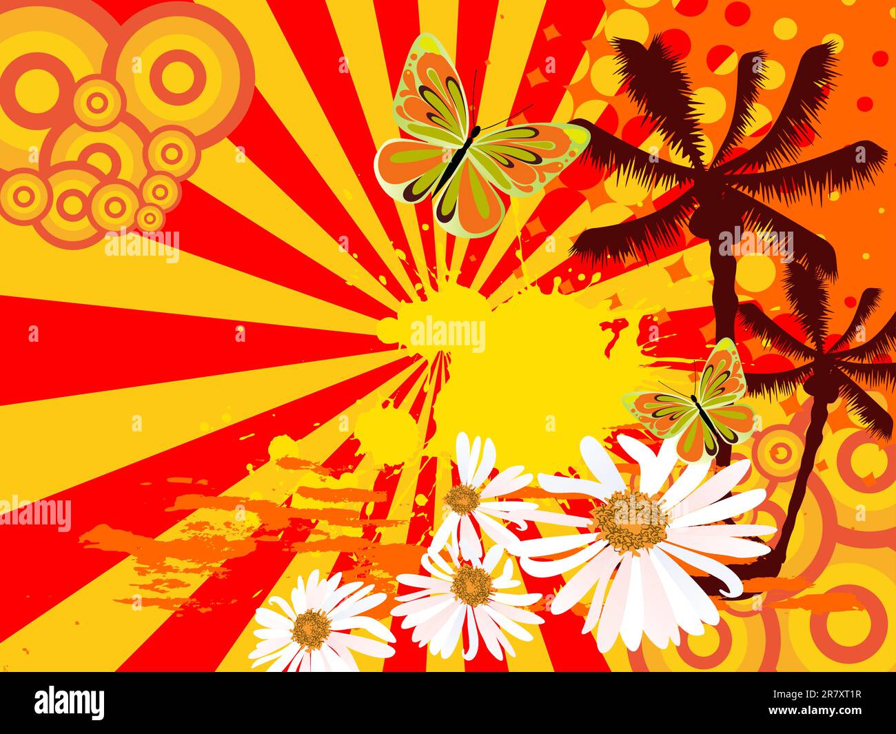 Marguerite daisy elegance Stock Vector Images - Alamy