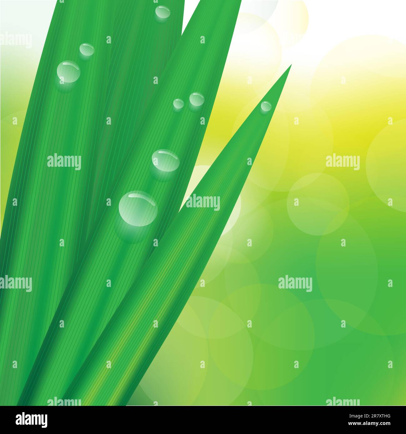 Exterior condensation Stock Vector Images - Alamy