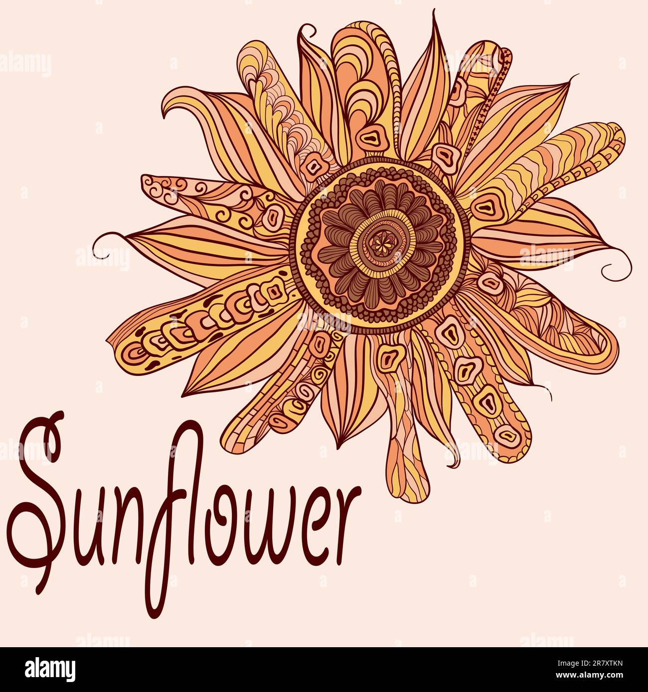 vector hand drawn sunflower Stock Vector Image & Art - Alamy