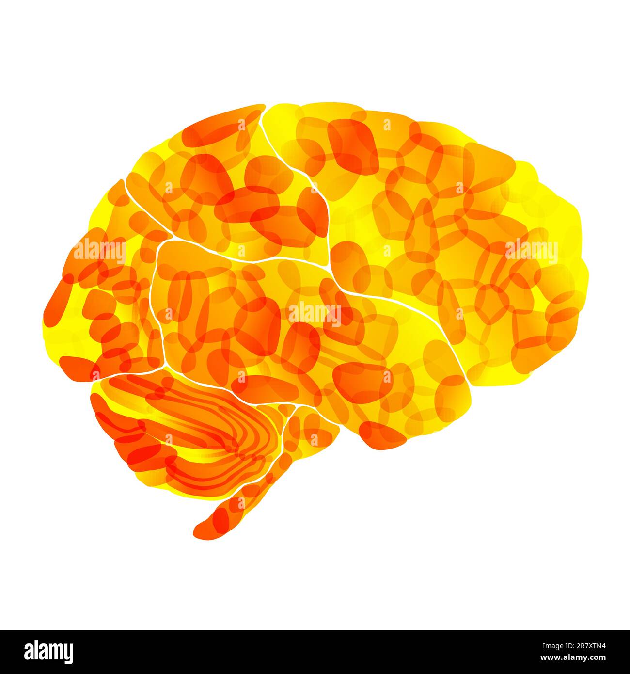human brain, solar thoughts, vector abstract background Stock Vector ...