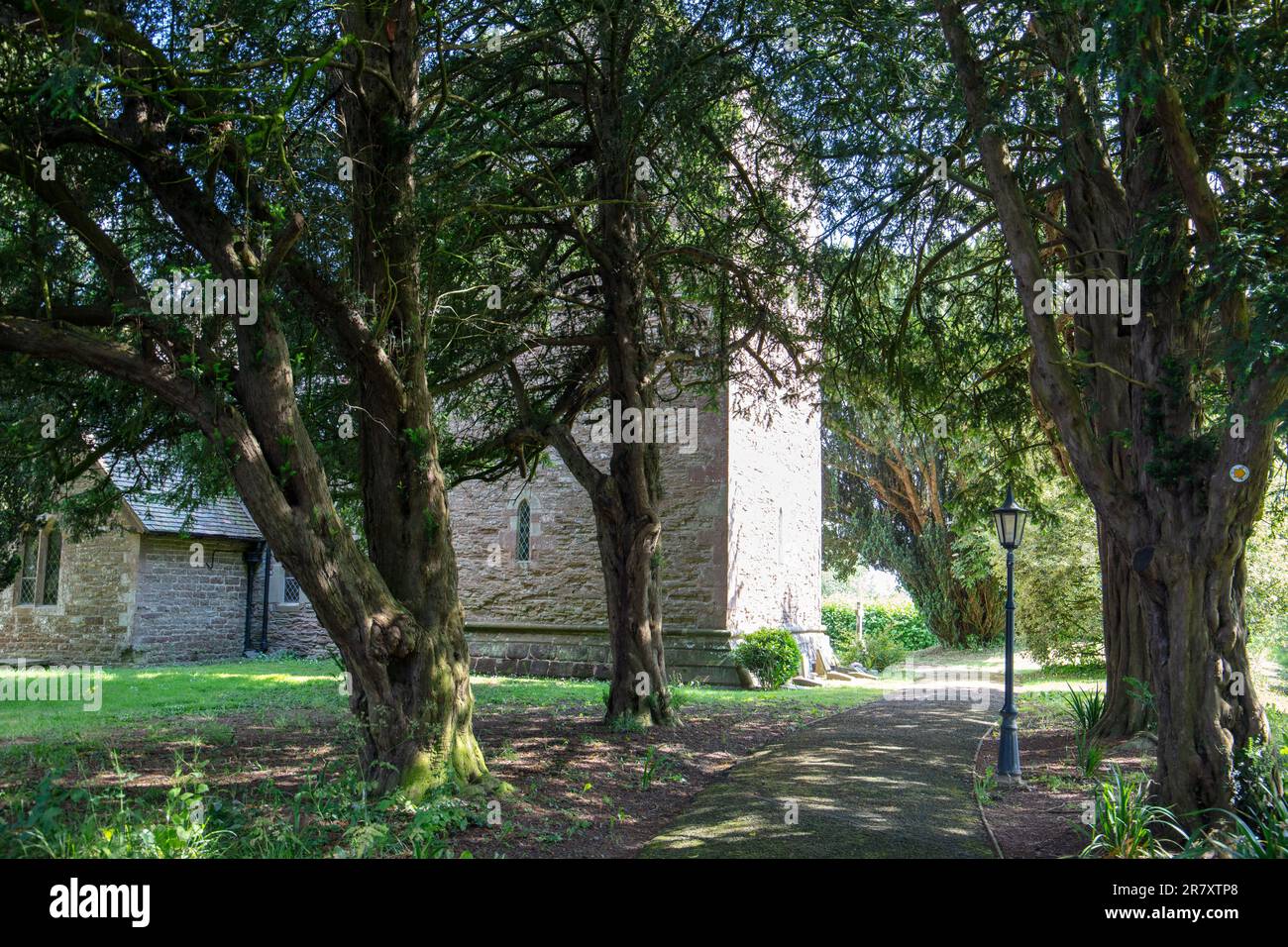 Edwyn ralph hi-res stock photography and images - Alamy