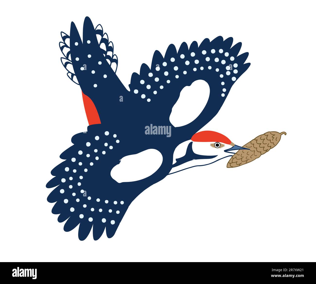 jay drawing on white background, vector illustration Stock Vector Image ...