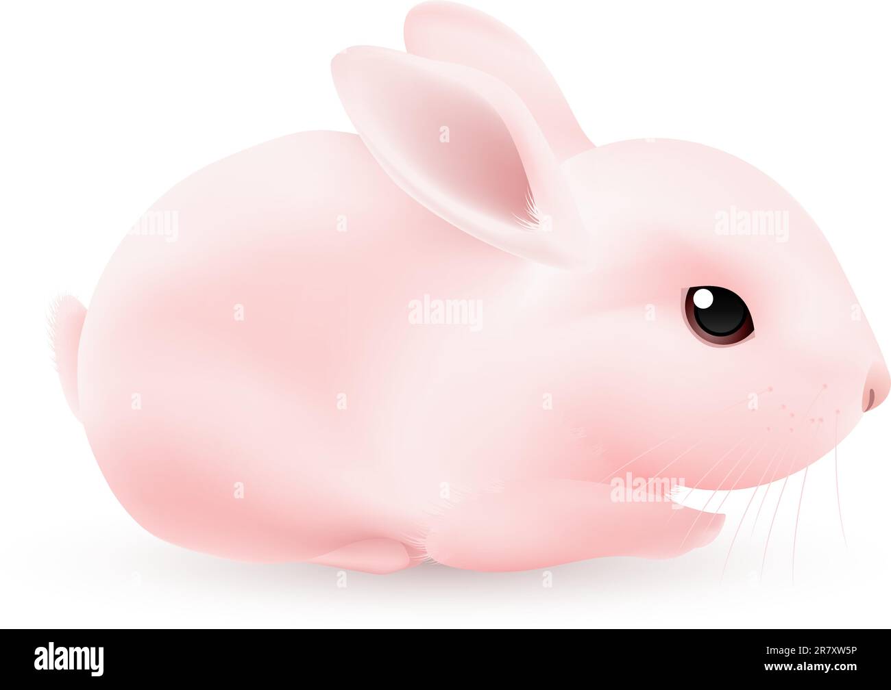 Pink Rabbit. Illustration on white background for design Stock Vector ...
