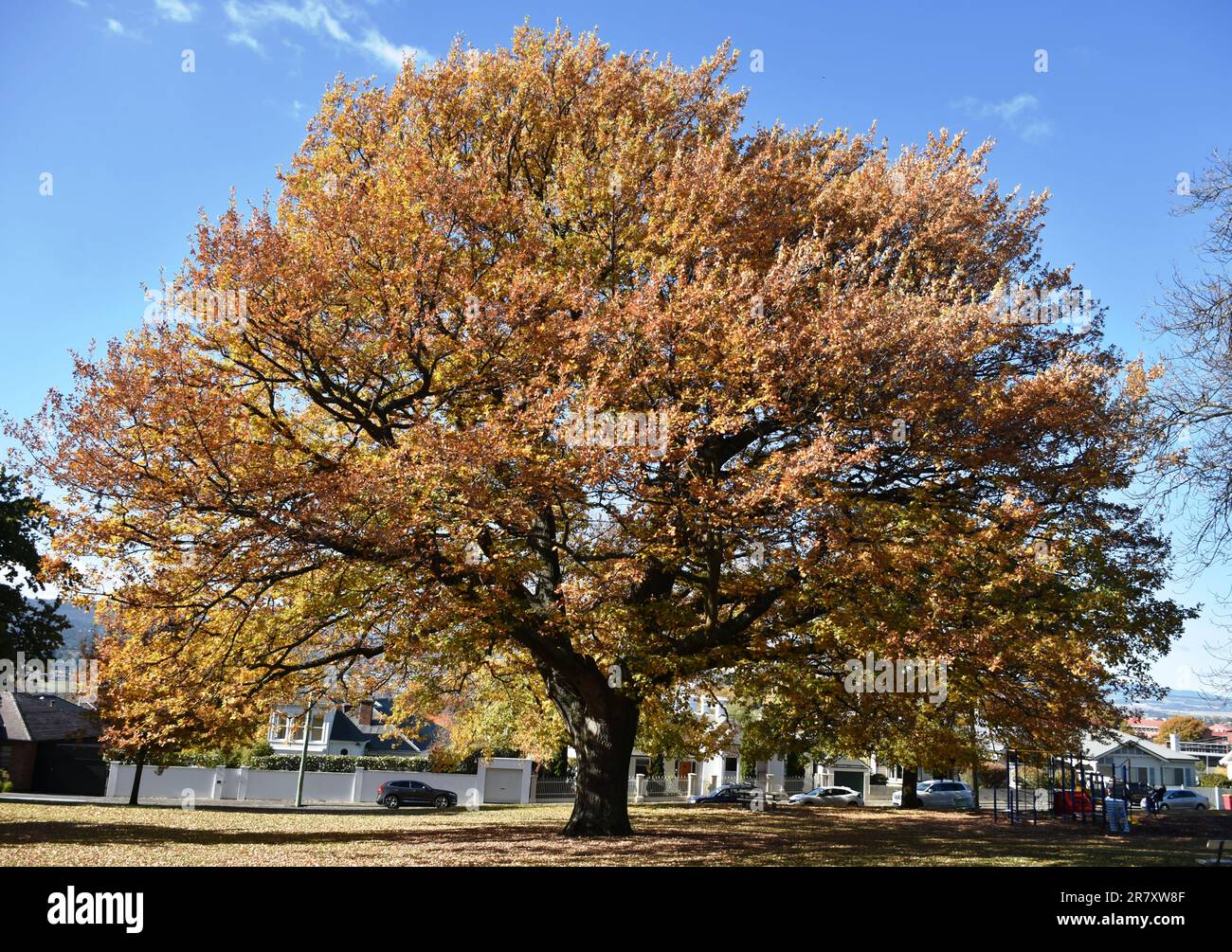 Full of colours hi-res stock photography and images - Alamy