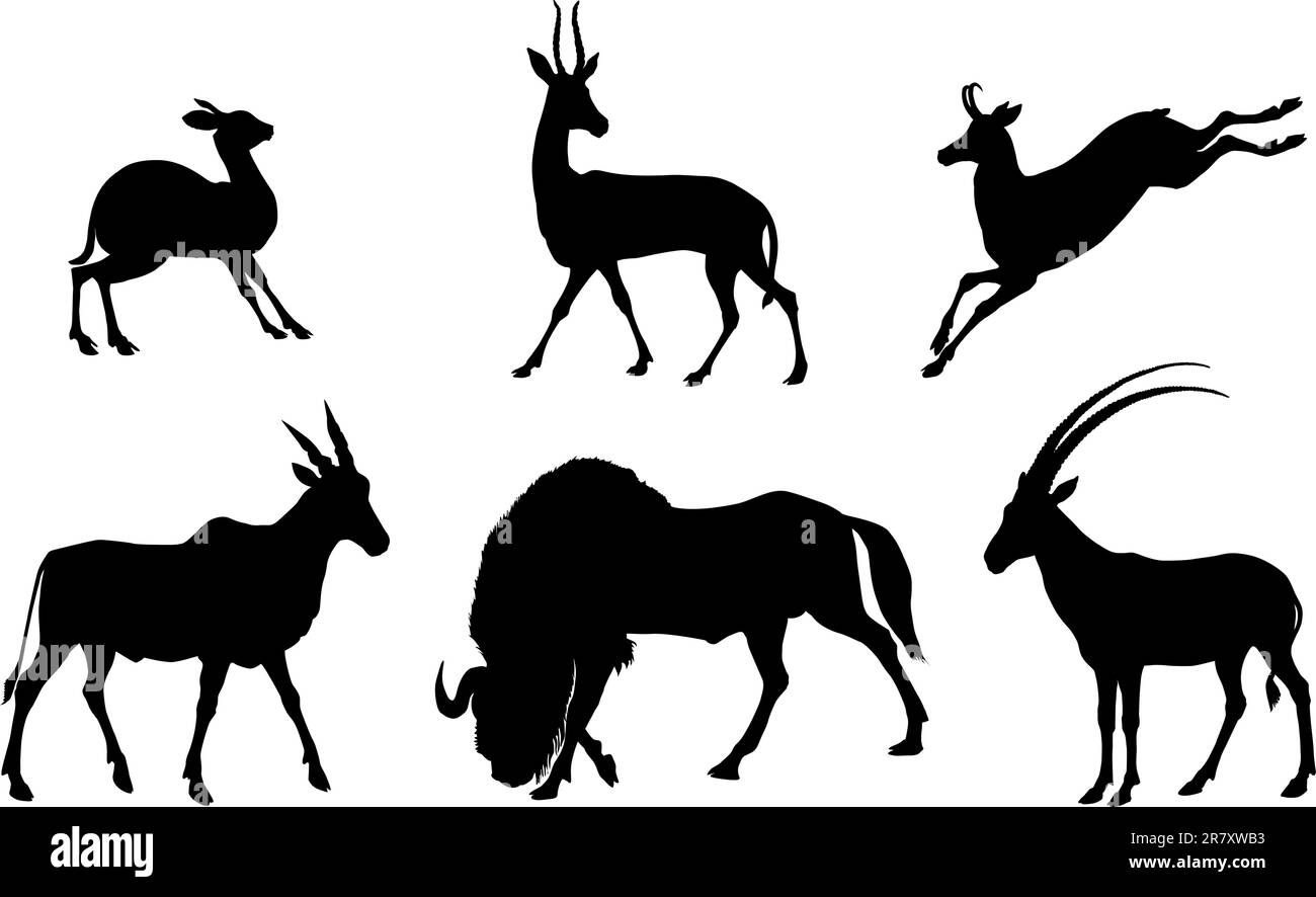 Vector anthelopes silhouettes Stock Vector Image & Art - Alamy