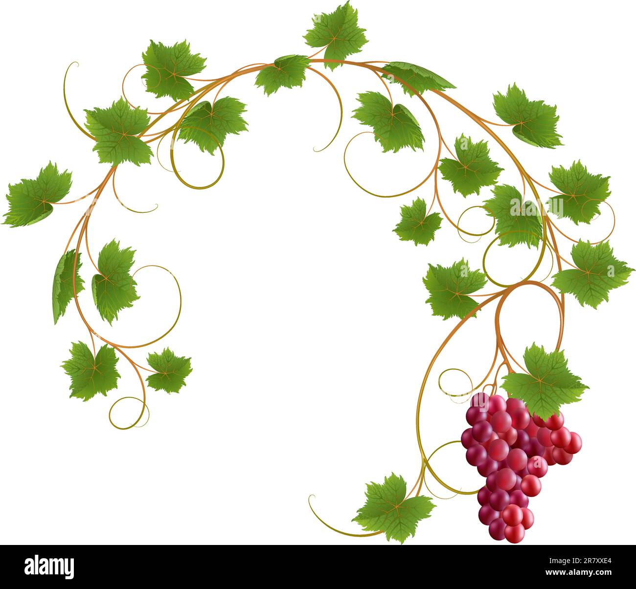 Vine mesh hi-res stock photography and images - Alamy