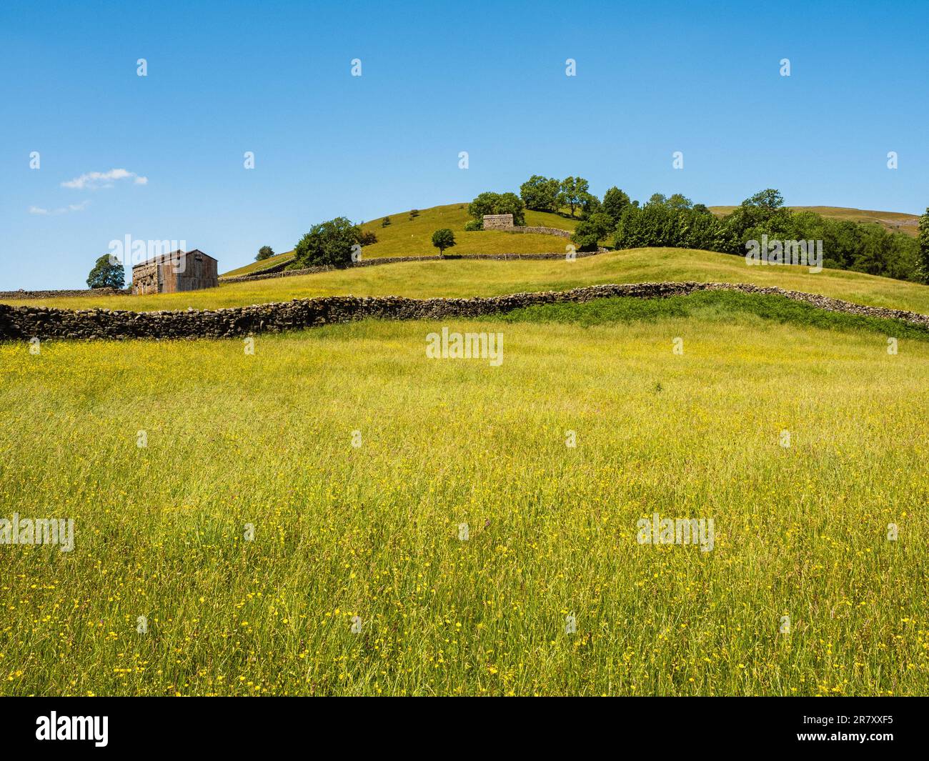 Hay Meadows and hills at Muker in Swaledale Stock Photo - Alamy
