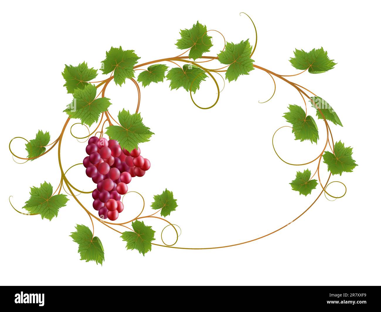 Red vine on a white background Stock Vector Image & Art - Alamy