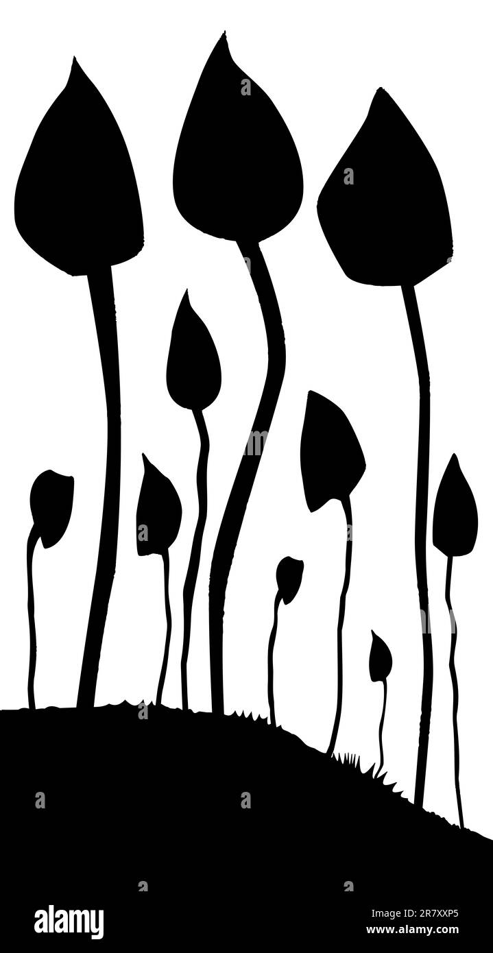 Silhouetted against backdrop Black and White Stock Photos & Images - Alamy