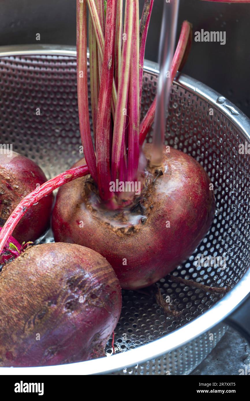 Washing cleaning beetroot in a metal colander drainer in a kitchen sink Stock Photo - Alamy