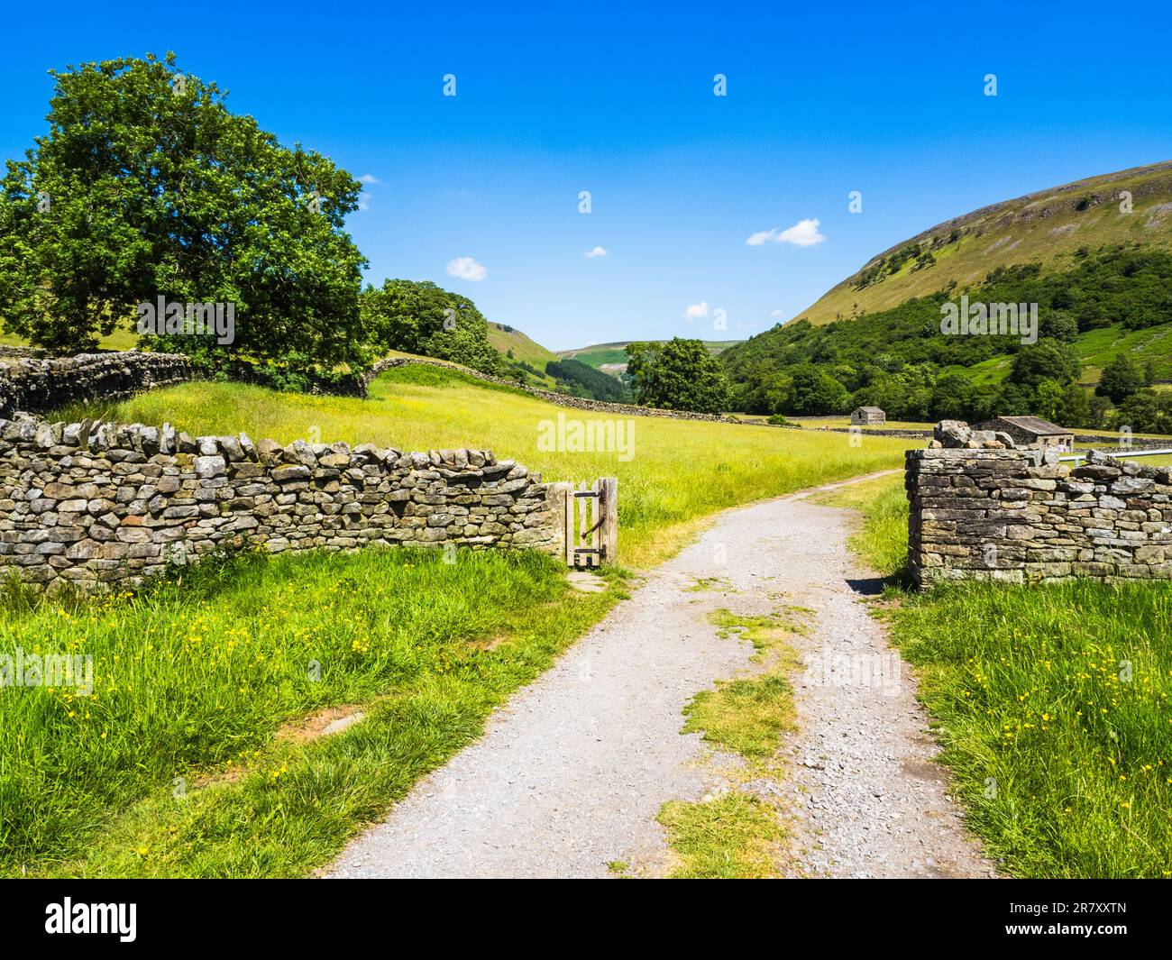 Path through Muker Meadows in Swaledale Stock Photo - Alamy
