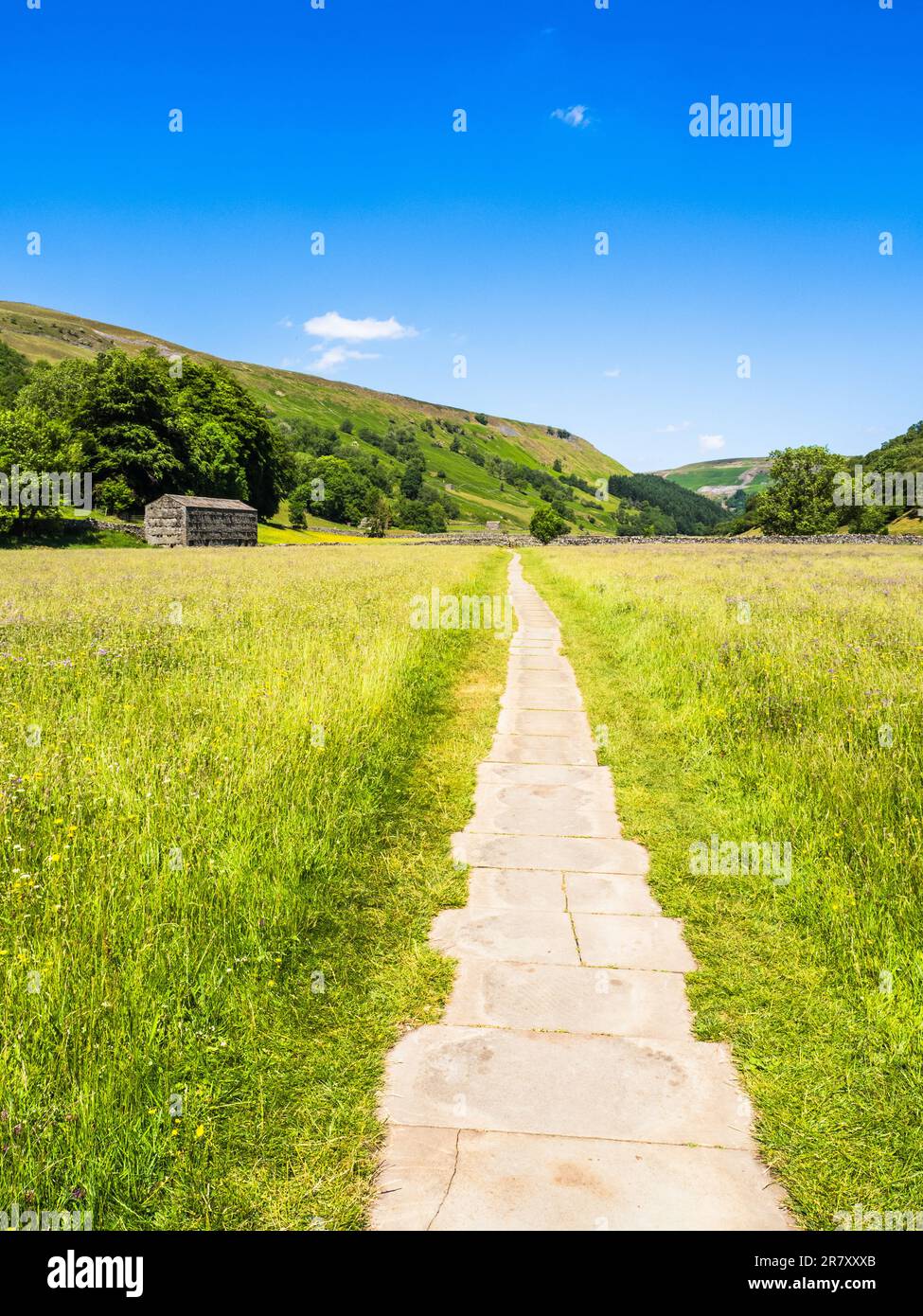 Path through Muker Meadows in Swaledale Stock Photo - Alamy