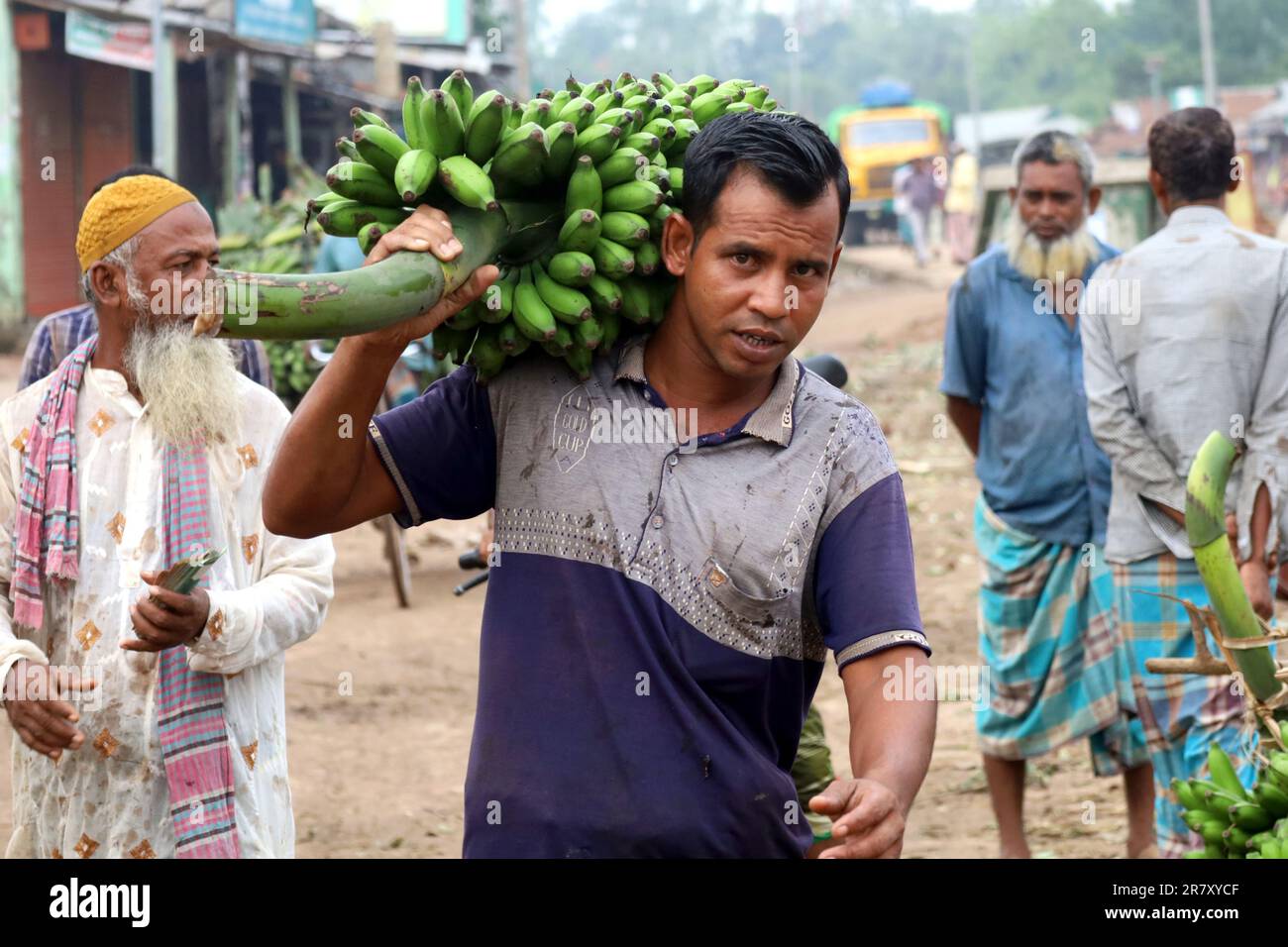 Modhupur, Tangail, Bangladesh. 18th June, 2023. Workers and farmers are ...