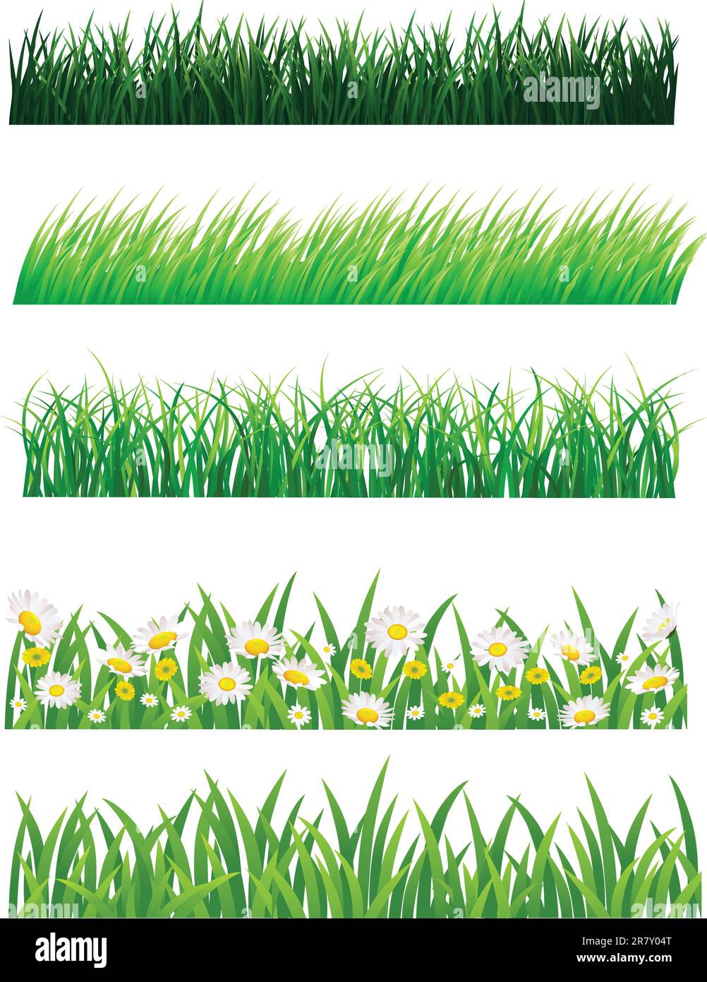 Vector Illustration Grass Stock Vector Image & Art - Alamy
