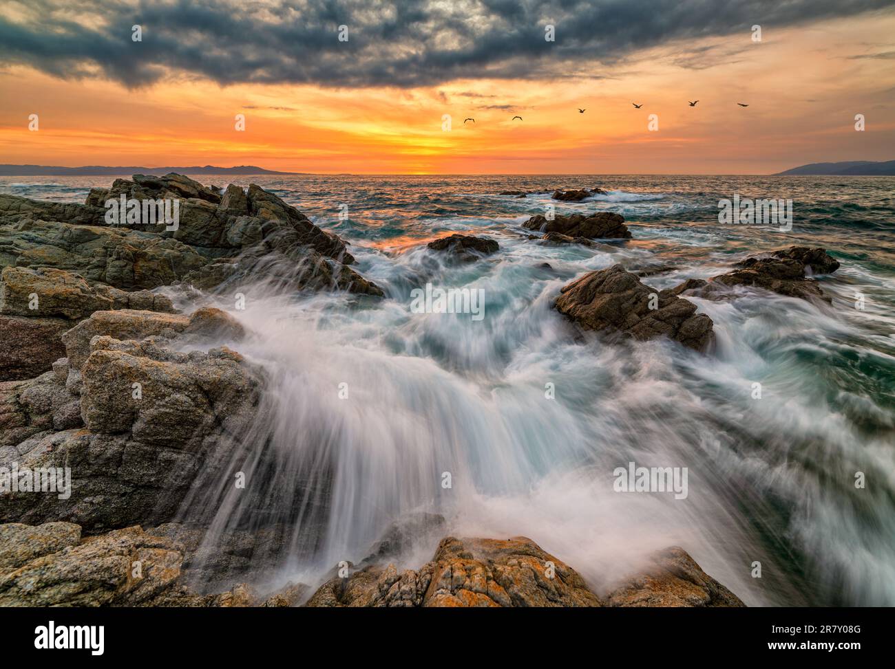 A Colorful Orange Ocean Sunset Seascape With A Flock Of Birds Flying On ...