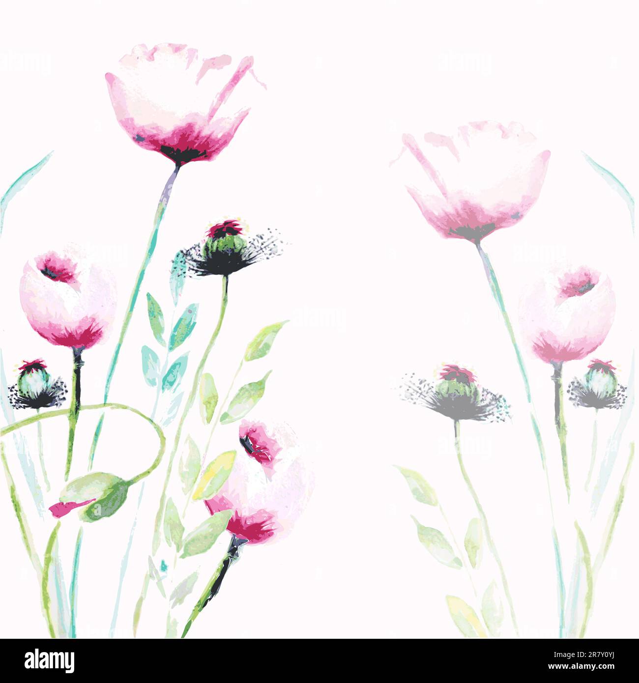 Pink poppy flowers in Stock Vector Images - Alamy